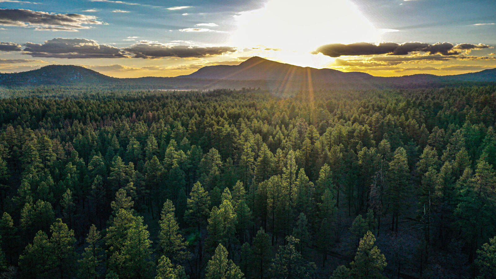 National Forest Foundation Awarded 2025 Overland Expo Foundation Grant